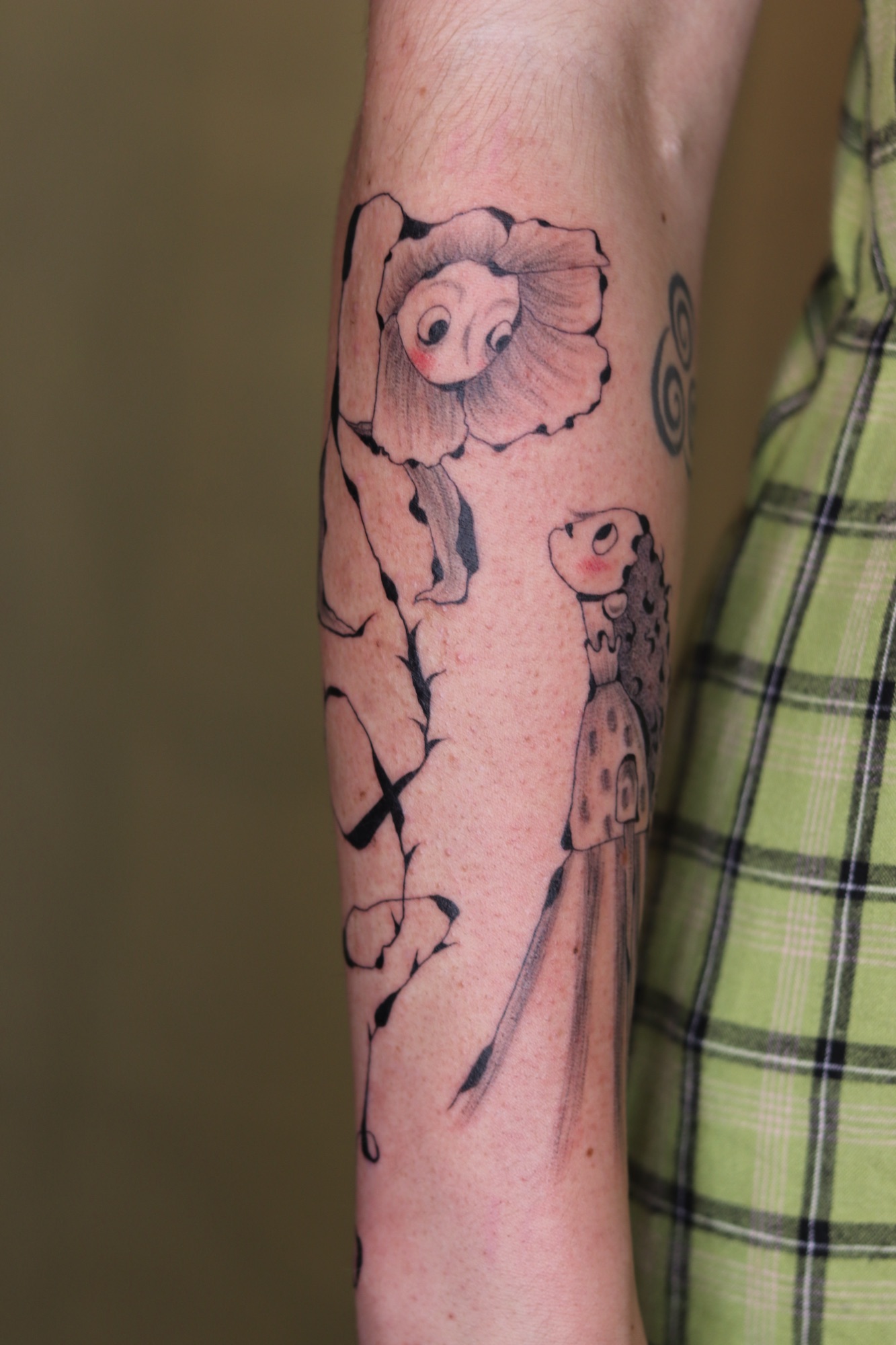 pricing – Orange cat