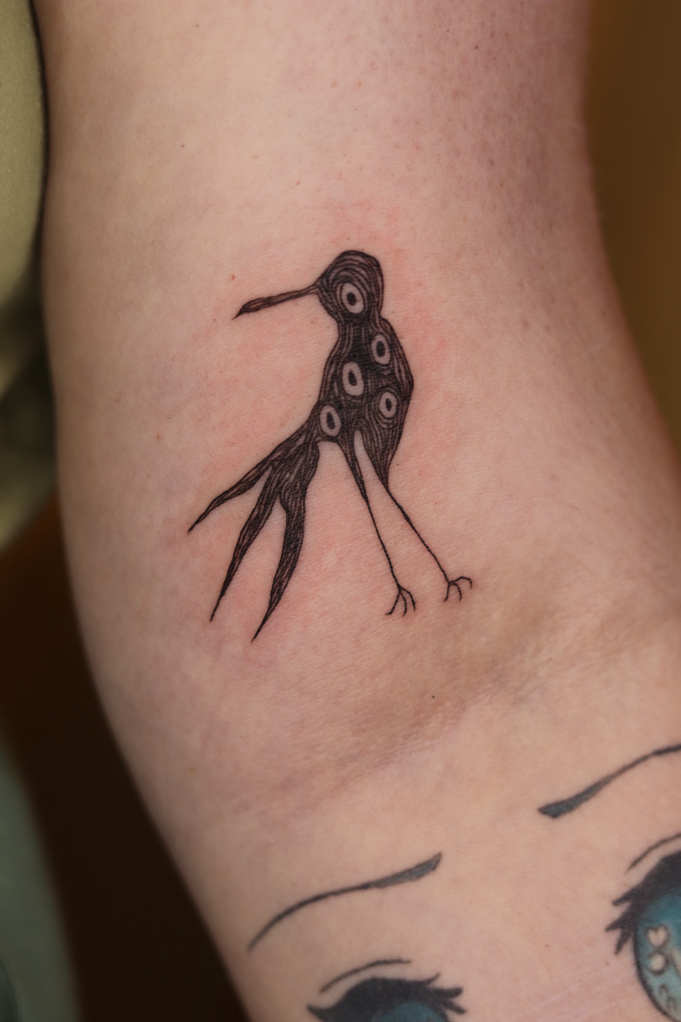 pricing – Orange cat