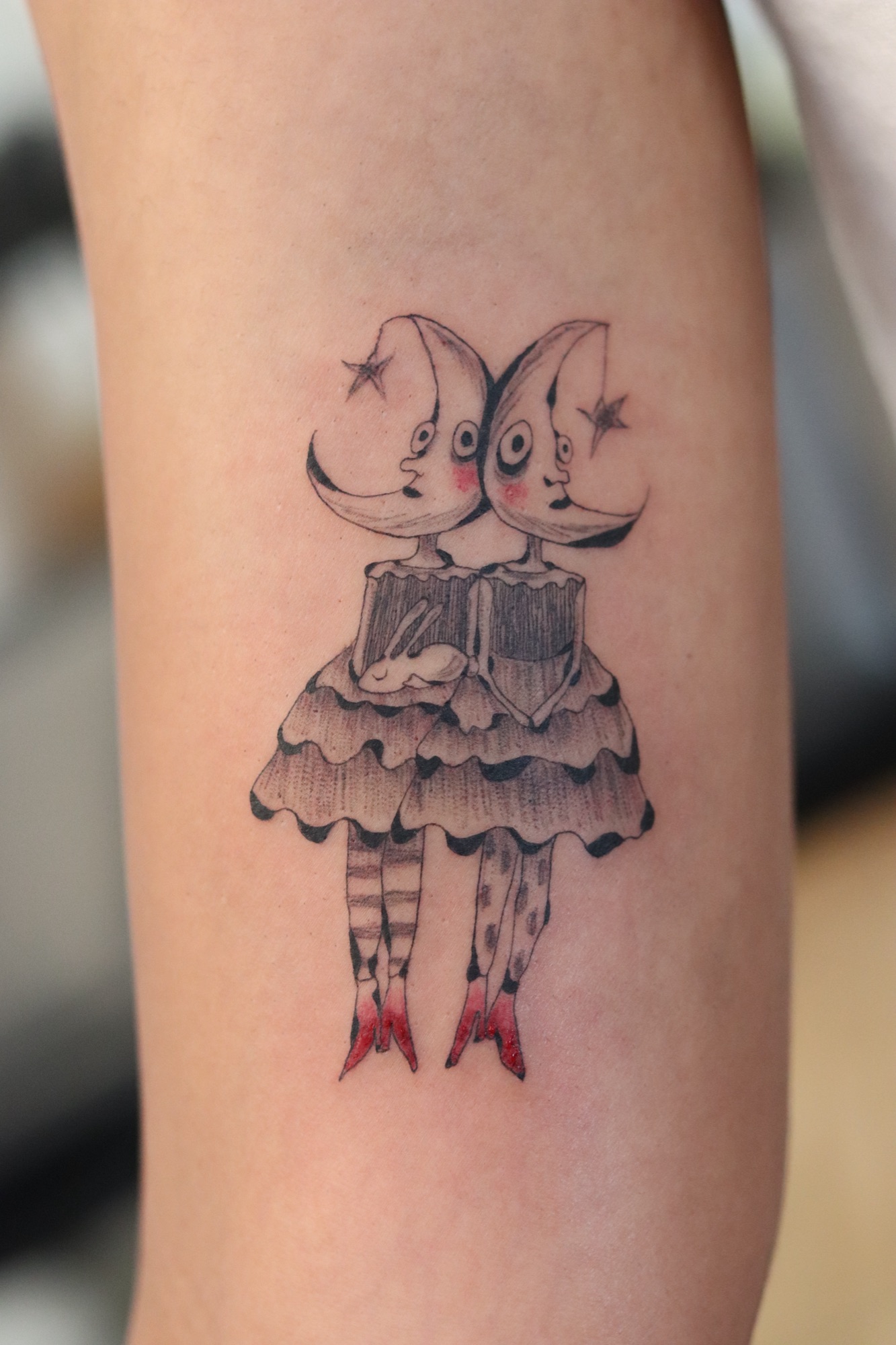 pricing – Orange cat