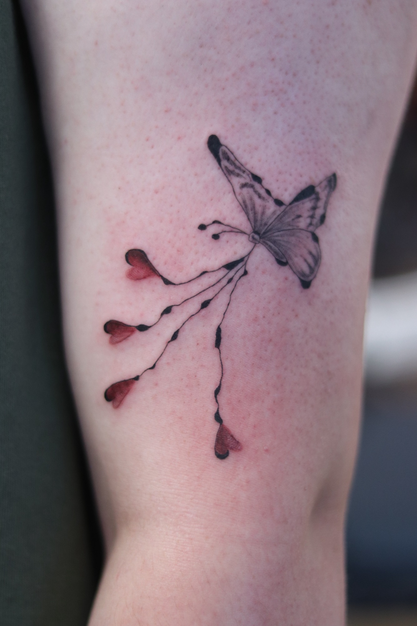 pricing – Orange cat