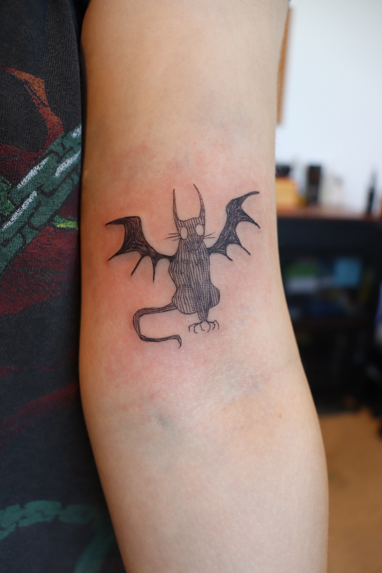 pricing – Orange cat